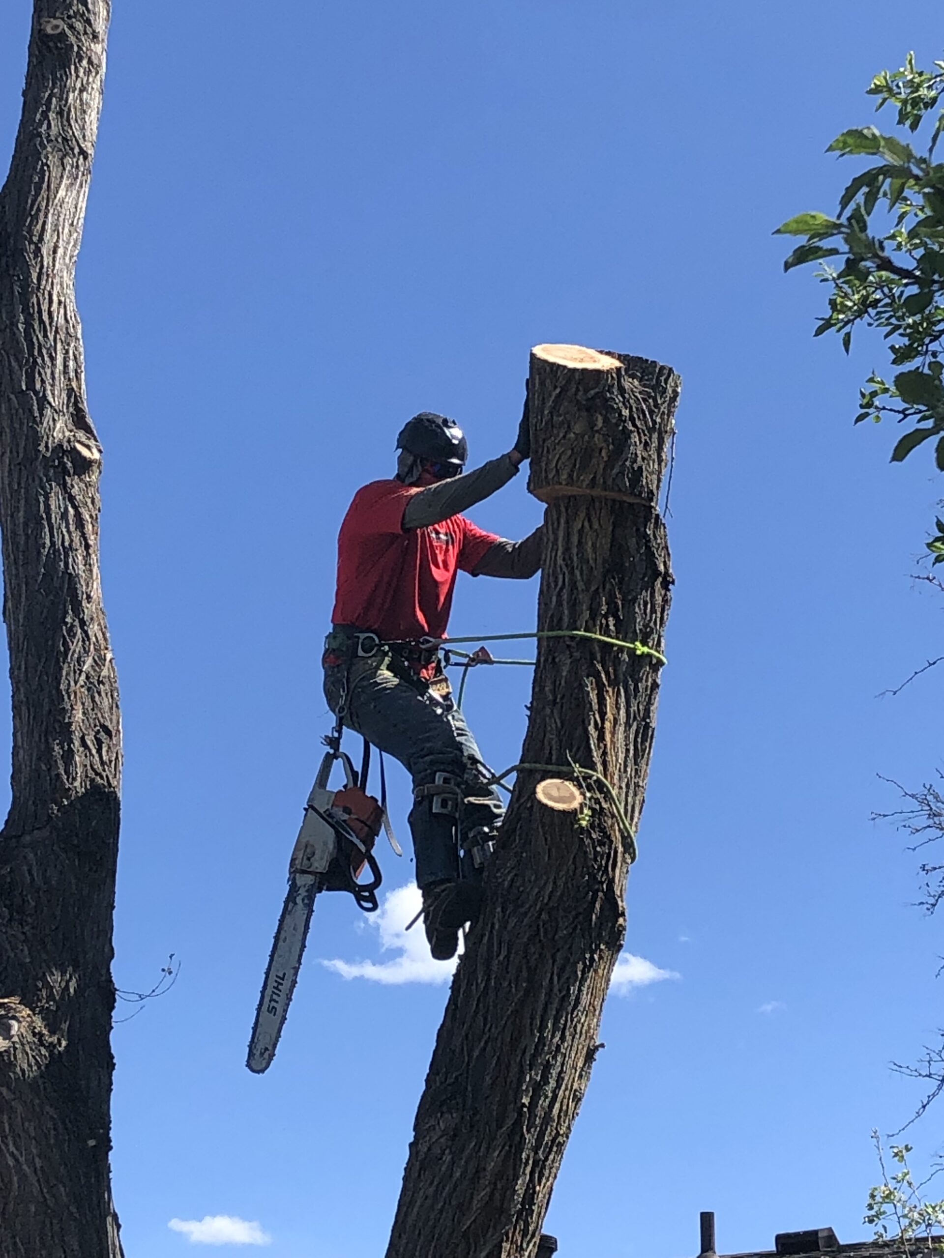 Crew - Cutting Edge Tree Care, LLC